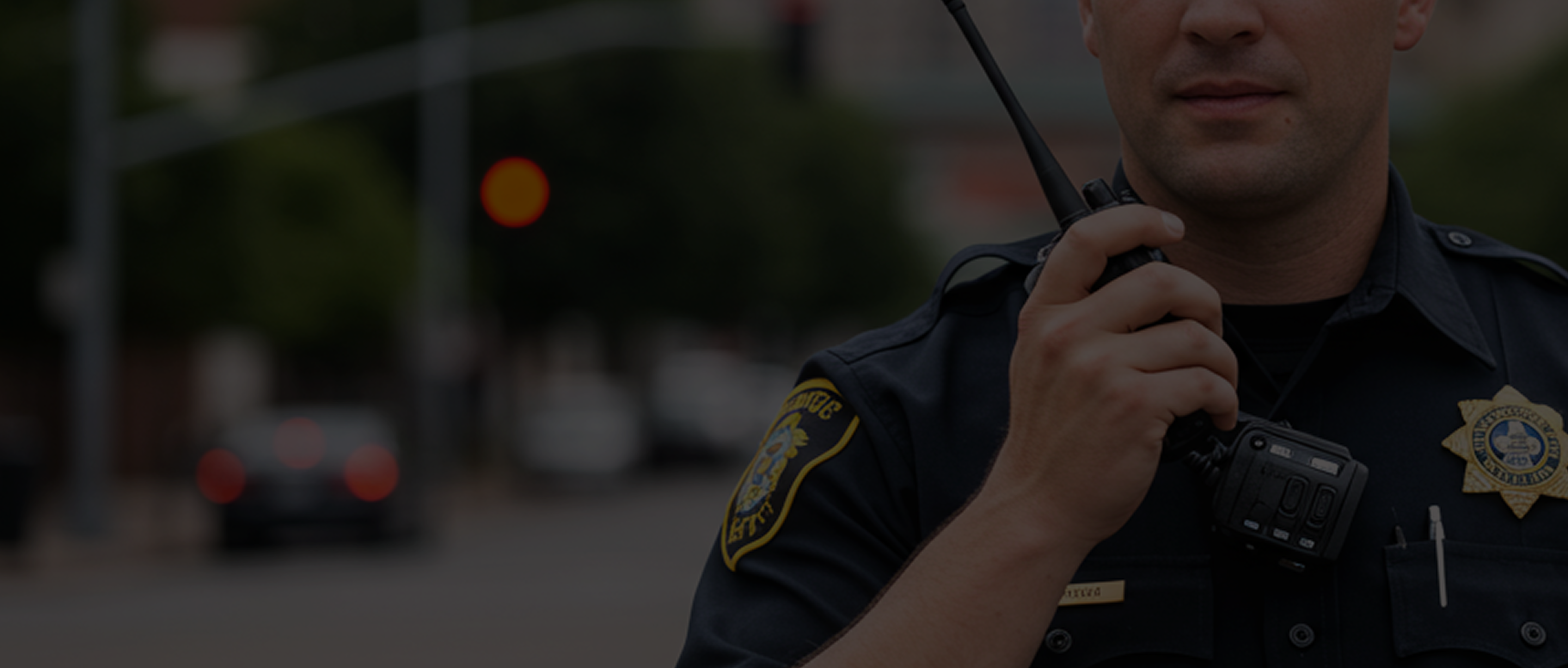 Black Lexan LCD & Keypad Cover - DPH, GPH, EPH – New London Technology